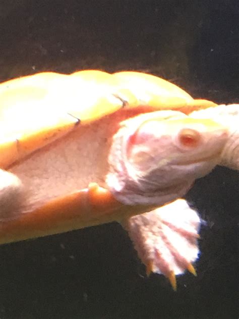 Vocab Set 1 Marine Science Flashcards Memorang