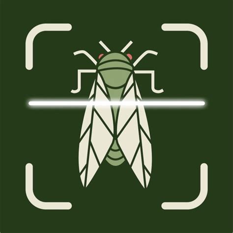 Bug Insect Identifier By Kitchen Apps Llc