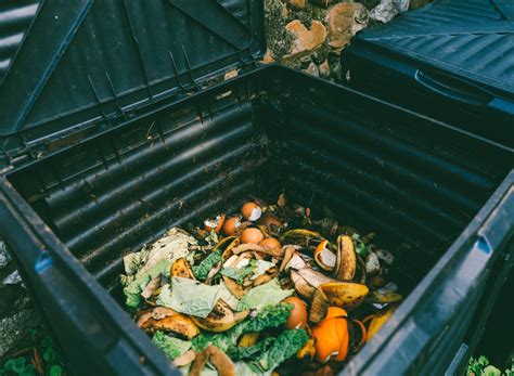 Building An Indoor Worm Bin Do It With Worms