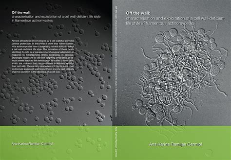 Off The Wall Characterisation And Exploitation Of A Cell Wall