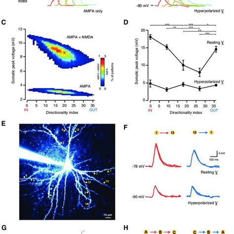 Dendritic Discrimination Of Complex Input Sequences A Random Download Scientific Diagram