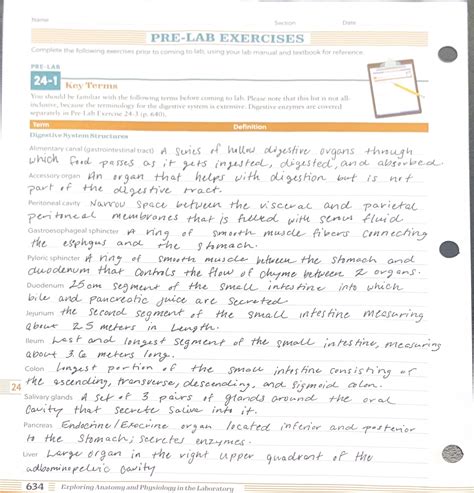 Lab Ex 24 Lab Understanding And Recall Questions Name Section Date Exercises Complete The