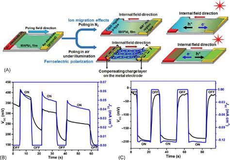 1 A Schematic Illustration Showing The Ion Migration And Polarization Download Scientific