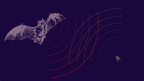 ultrasonic sensors webinar on calibration and printable calibration targets