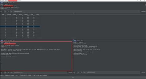 Prefix Not Showing In Turbo Intruder · Issue 25 · Portswigger