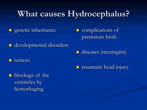 Ppt Induction Of Hydrocephalus And Its Relation To Cell Death Axonal
