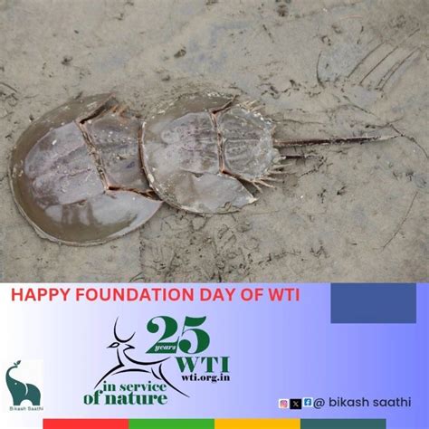 Dr Biswajeet Panda On Linkedin Foundationday Wti Wildaid
