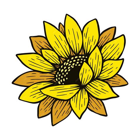 Premium Vector Hand Drawing Vector Illustration Sunflower Leaf Leaves