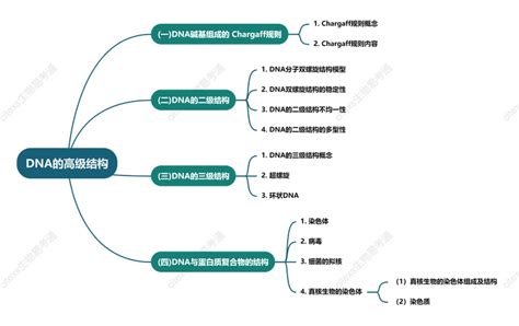 生物化学高频考点（二十四）之dna的高级结构内容及思维导图 知乎