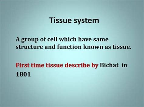 Tissues Pdf Gardening Home And Garden