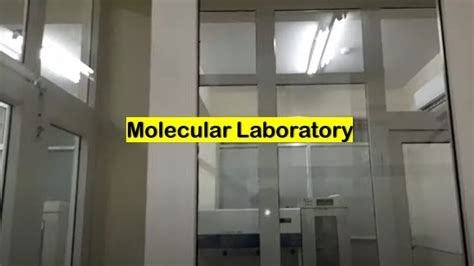 Molecular Laboratory Introduction Branches Application And Keynotes