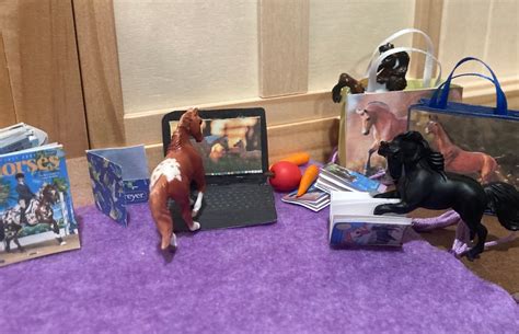 Reference Pictures Non Reference Pictures And More