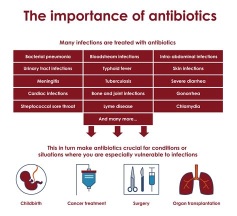 Antibiotics Understand React