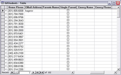 Microsoft Access Lesson 15 Introduction To Data Analysis