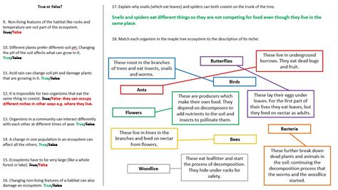 Ecosystems ~ Ks3 ~ Year 8 Teaching Resources