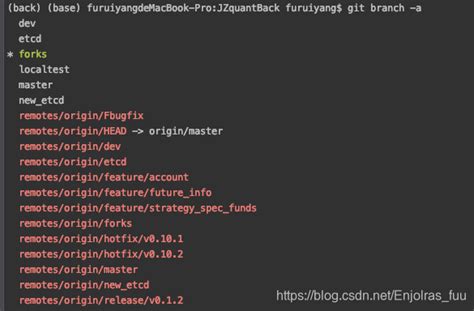 git删除远程分支报错 remote ref does not exist csdn博客