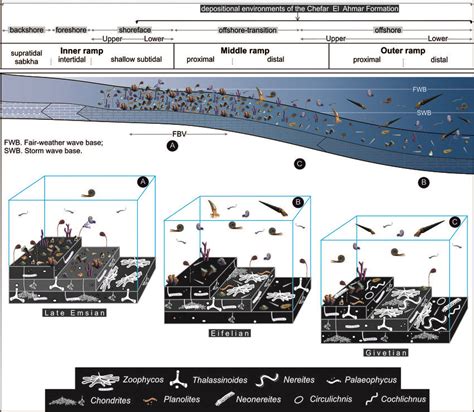Schematic Diagrams Illustrating The Palaeoenvironmental Trend Of The