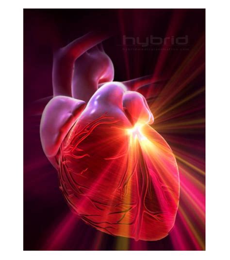 ACLS Study Guide Learn ACLS