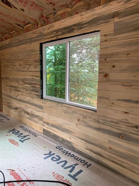 Blue Pine Beetle Kill Tongue And Groove Walls Tongue And Groove Ceiling Cabin Living Room