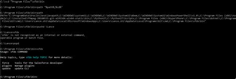 Windows After Adding Related Directory Into Path I Still Cant Execute The Command In Other