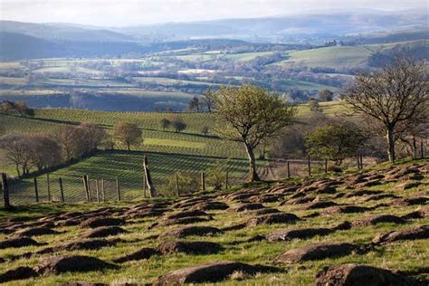 Issue 3337 Magazine Cover Date 5 June 2021 New Scientist