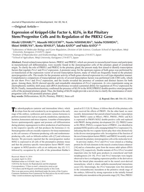 Pdf Expression Of Krüppel Like Factor 6 Klf6 In Rat Pituitary Stem