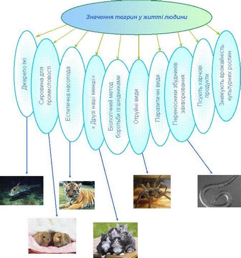 Поясніть в чому полягає планетарне значення тварин Наведіть приклади