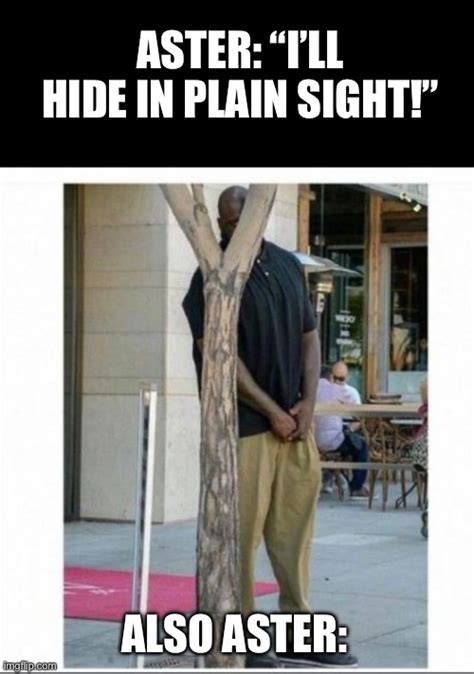 Image Tagged In Black Box Shaq Behind Tree Imgflip