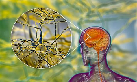 Terra Forming Terra Glutamate A Neuron Killer In Disguise