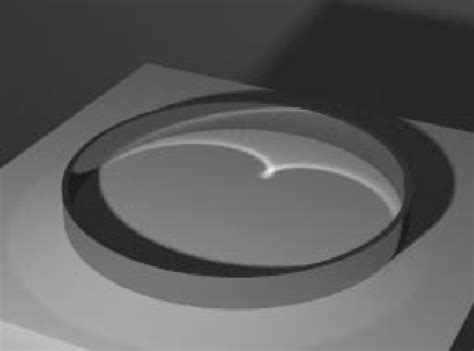 10 Radiosity With Image Based Direct Lighting Calculation Allows Download Scientific Diagram