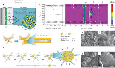 A Schematic Illustration Of The Shuttle Effect For Lis Batteries Download Scientific Diagram