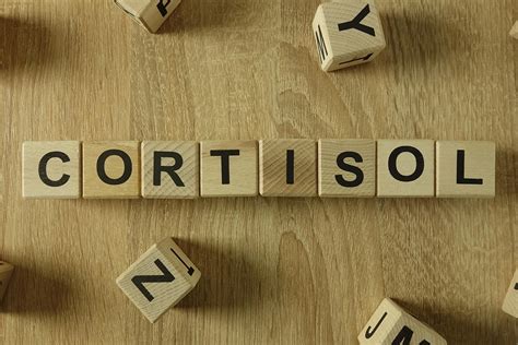 ¿cómo Bajar Los Niveles De Cortisol Karen Berrios