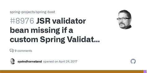 Jsr Validator Bean Missing If A Custom Spring Validator Bean Is Present · Issue 8976 · Spring