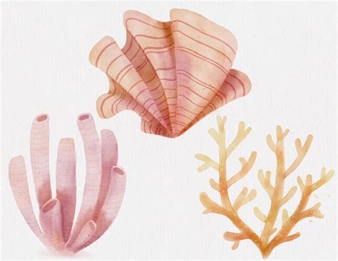 Kursus Procreate Complete Procreate Learning Path Class Nerd Masterclass