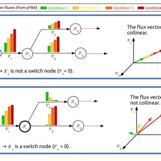 Principle For Switch Node Identification In Metabolic Networks The Download Scientific Diagram