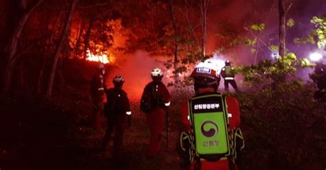 고성 산불 소방헬기 37대 투입해 공중 진화주불 95 잡혀