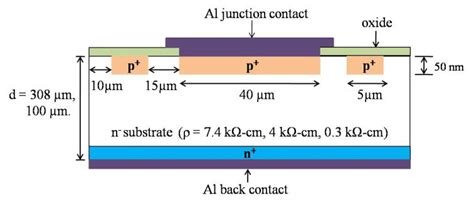21 Typical 2d Structure Of The Pips Detector Considered In The