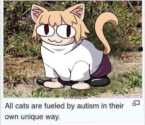 Neko Arc Is Fueled By Autism All Cats Are Fueled By Autism In Their