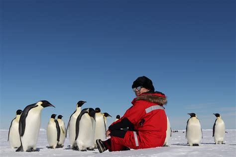 펭귄의날 특집 펭귄박사가 알려주는 남극펭귄 구하는 법