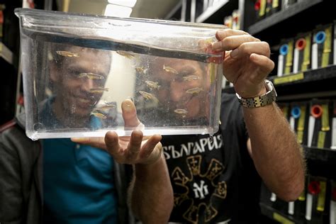 Harvard Study Artificial Neural Networks Could Be Used To Provide Insight Into Biological