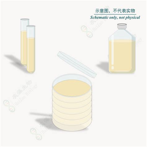 2693改良dixon 培养基 Hzb875511 产品详情 灰藻生物