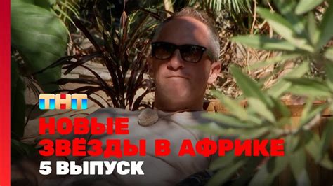 Звезды в джунглях 5 сезон смотреть онлайн в высоком качестве на Rutube