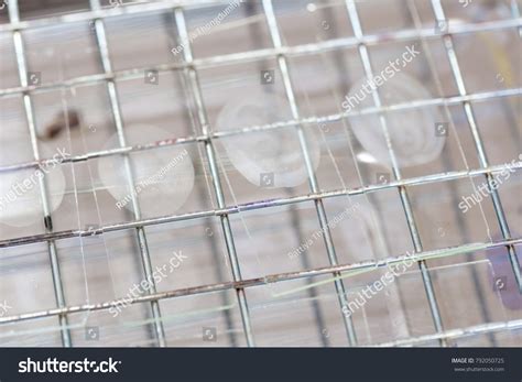 Technique Smear Preparation Microbiology Education Lab Stock Photo 792050725 Shutterstock