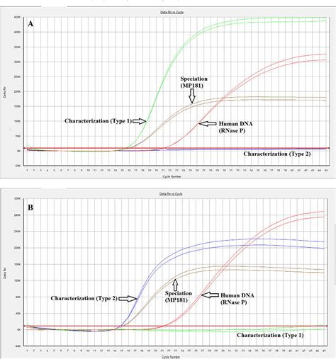 Figure 2 From Development Of A Multiplex Taqman Real Time Pcr Assay For Typing Of Mycoplasma