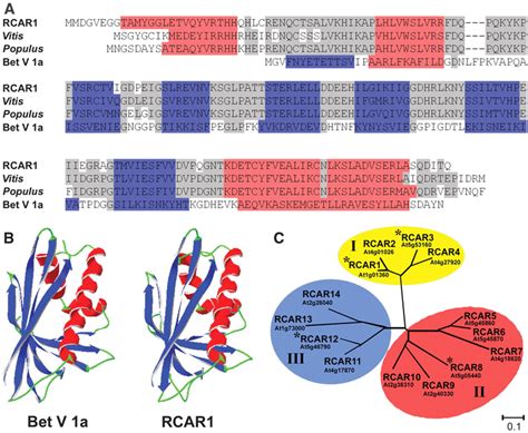 Regulators Of Pp2c Phosphatase Activity Function As Abscisic Acid