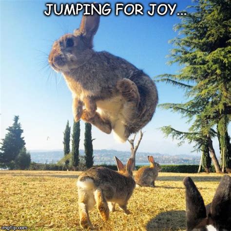 Joy Imgflip