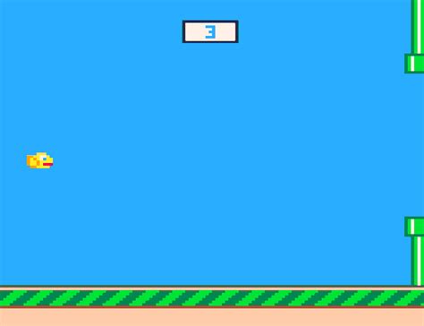 PICO BIRD By Josh Kitchen