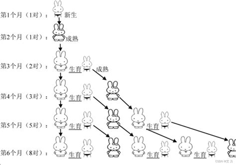 兔子繁殖问题与斐波那契数列解析 Csdn博客