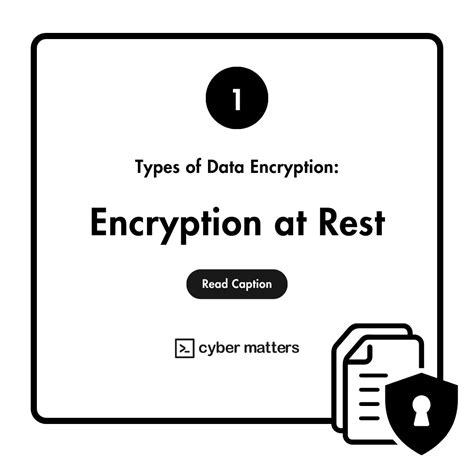 Cyber Matters On Linkedin 13 Types Of Data Encryption Encryption At