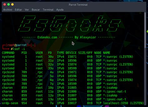 Escanear Puertos Abiertos Con Ss Netstat Lsof Y Nmap Esgeeks
